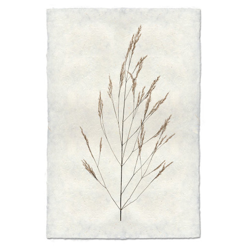 Natural Form Wheat Print