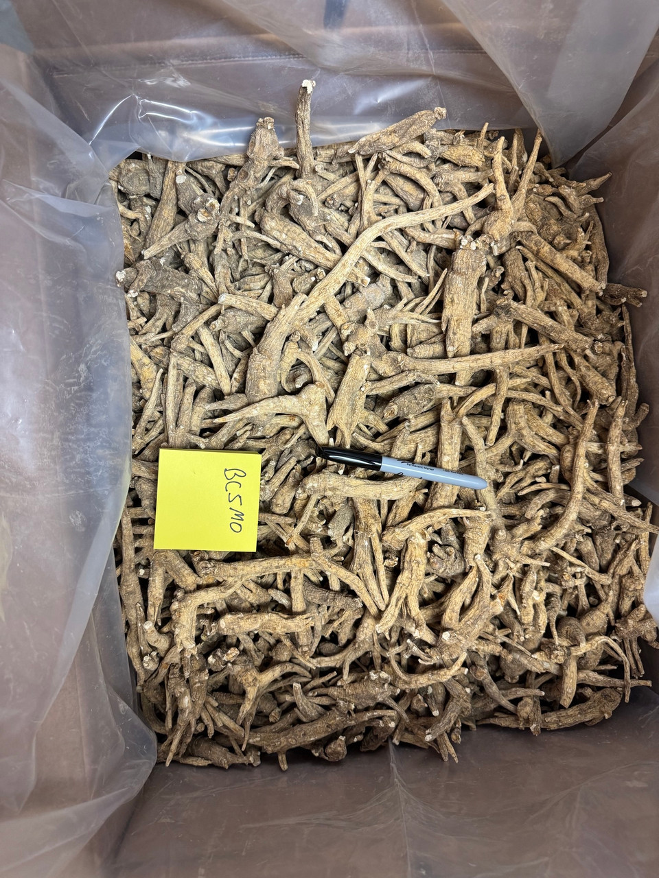 2024 Crop 5 year-old Field Run Root 10 Pound Bag - Heil Harvest