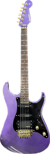 Fernandes The Function Electric Guitar