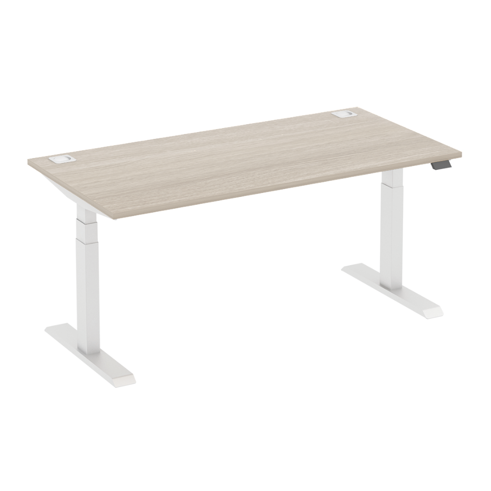Elite Progress Plus Electric Height Adjustable Desk | Create Your Own