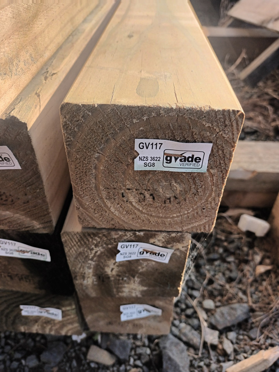 100x100 H5 MG SG8 6.0m @ 4.8m - Point Timber
