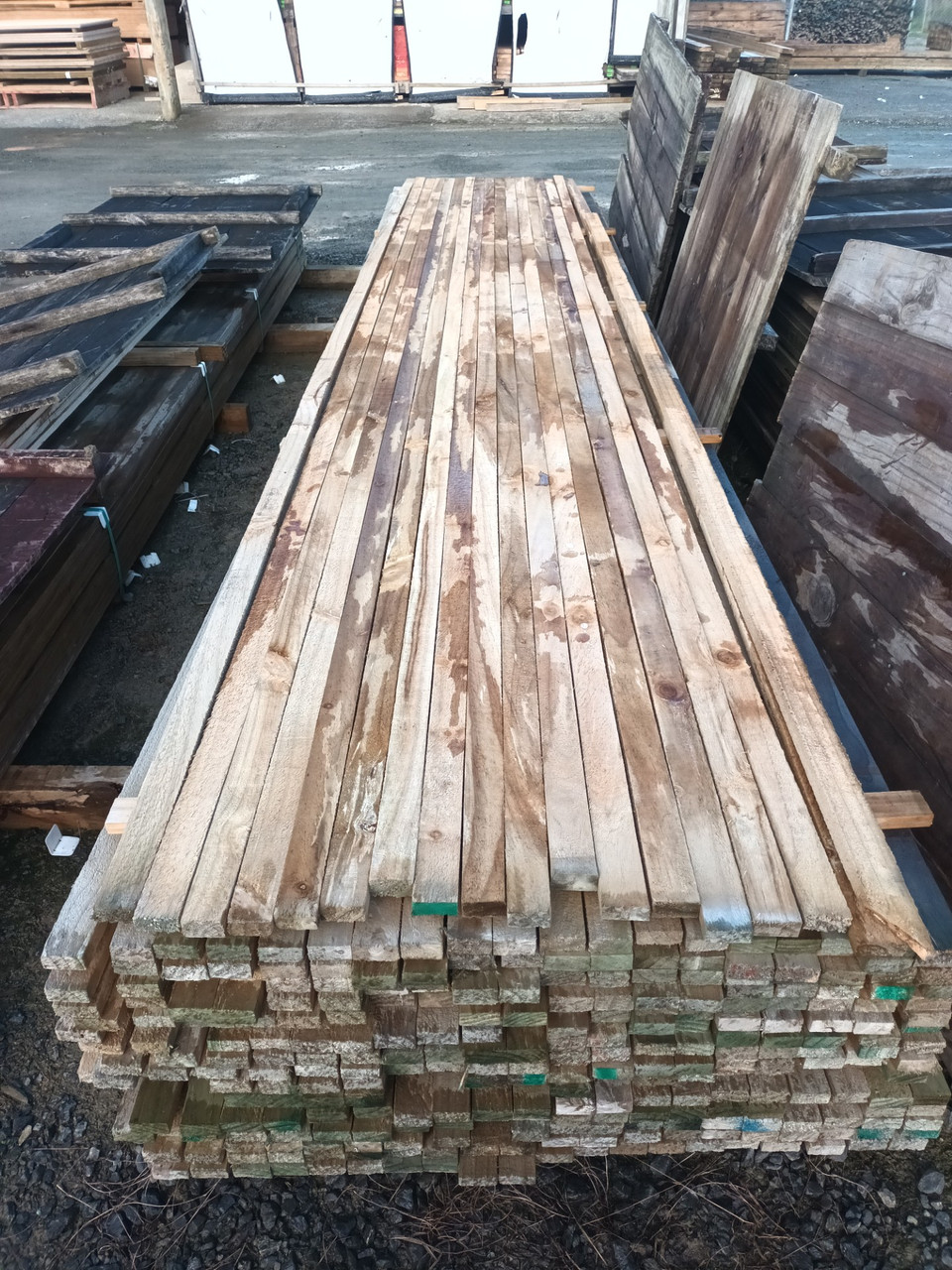 50x25 H3.2 Sawn - Point Timber