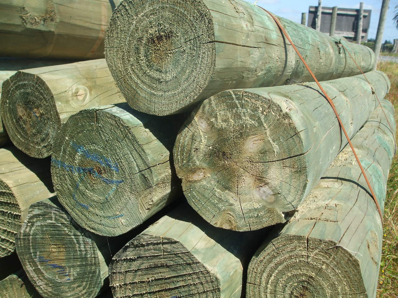 No. 2 H4 Strainers @ 2.7m - Point Timber