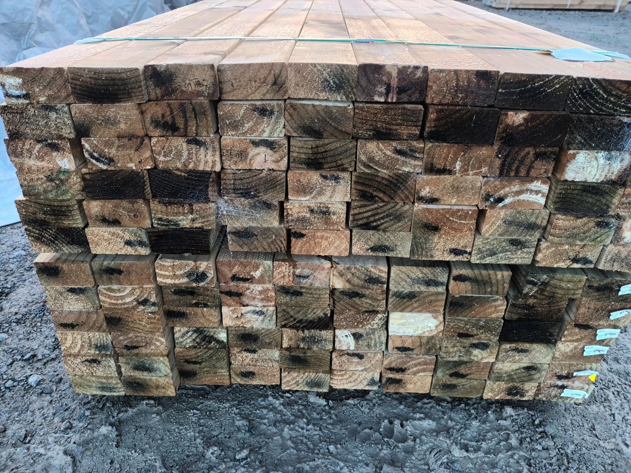 100x50 H3.2 MG SG8 6.0m - Point Timber
