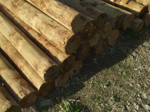 No. 1 H4 Round Posts 1.8m - Point Timber