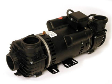 PUM22000980 Cal Spa Pump - DUALLY, 110V/ W HI TORQUE,2" PLUMBING ...