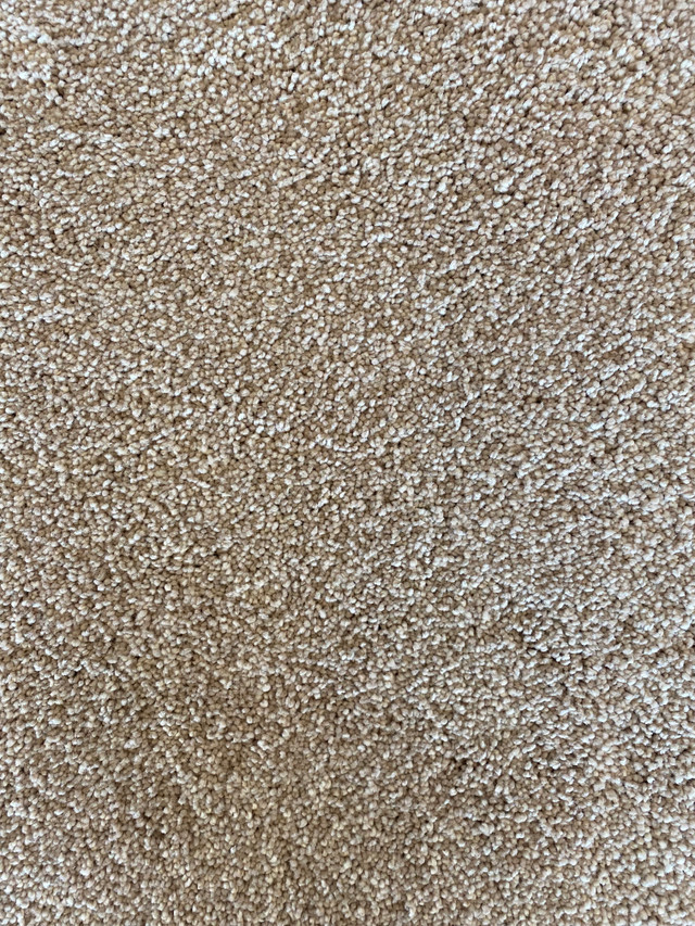 Textured Carpet Flooring | Flooring Superstores Edmonton