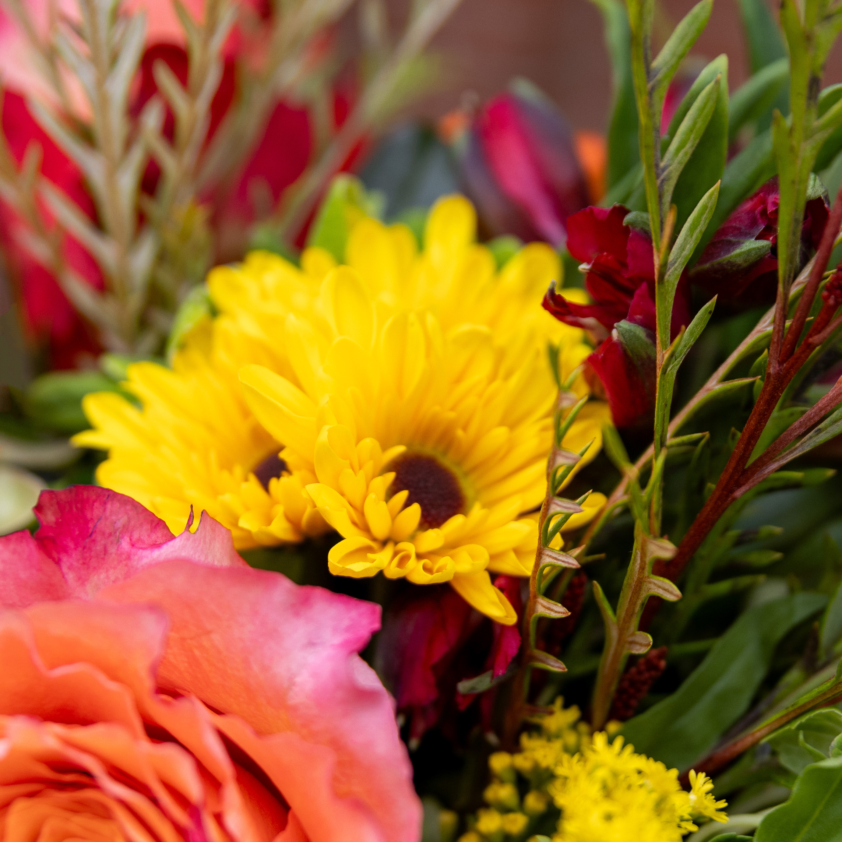 Nightingale Floral Company - Local Charlotte Florist | Same Day Flower ...