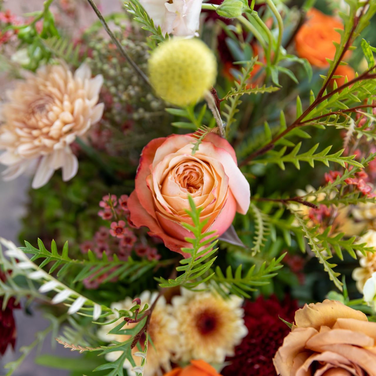 Nightingale Floral Company - Local Charlotte Florist | Same Day Flower ...
