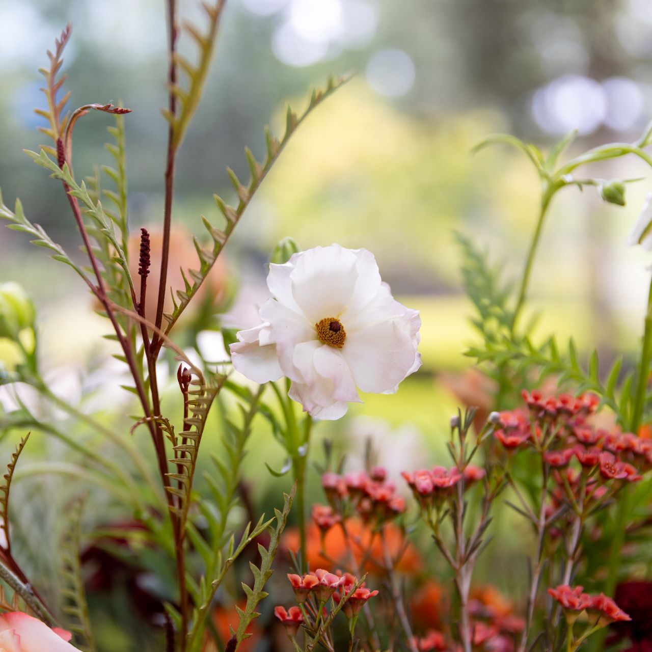 Nightingale Floral Company - Local Charlotte Florist | Same Day Flower ...