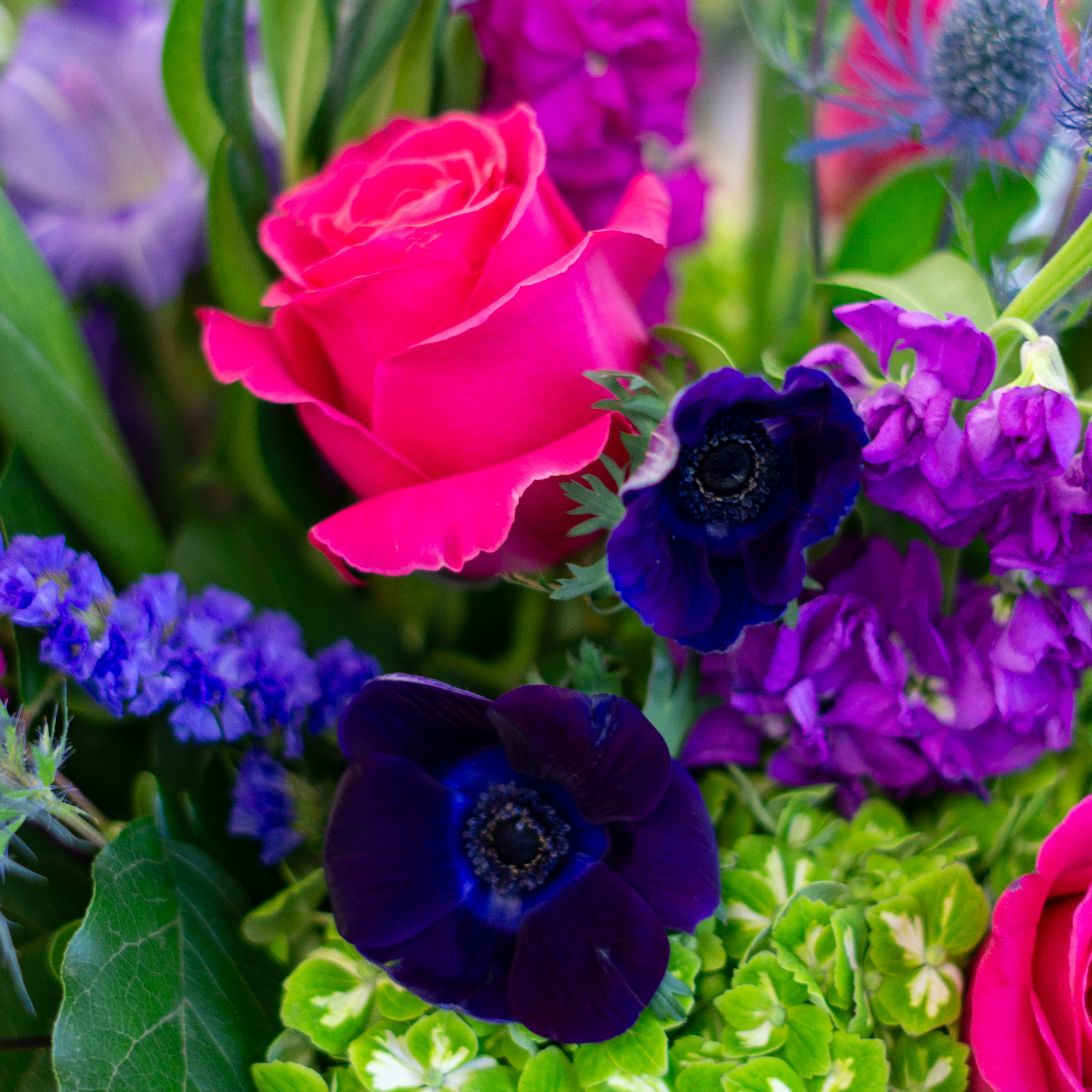 Nightingale Floral Company - Local Charlotte Florist | Same Day Flower ...