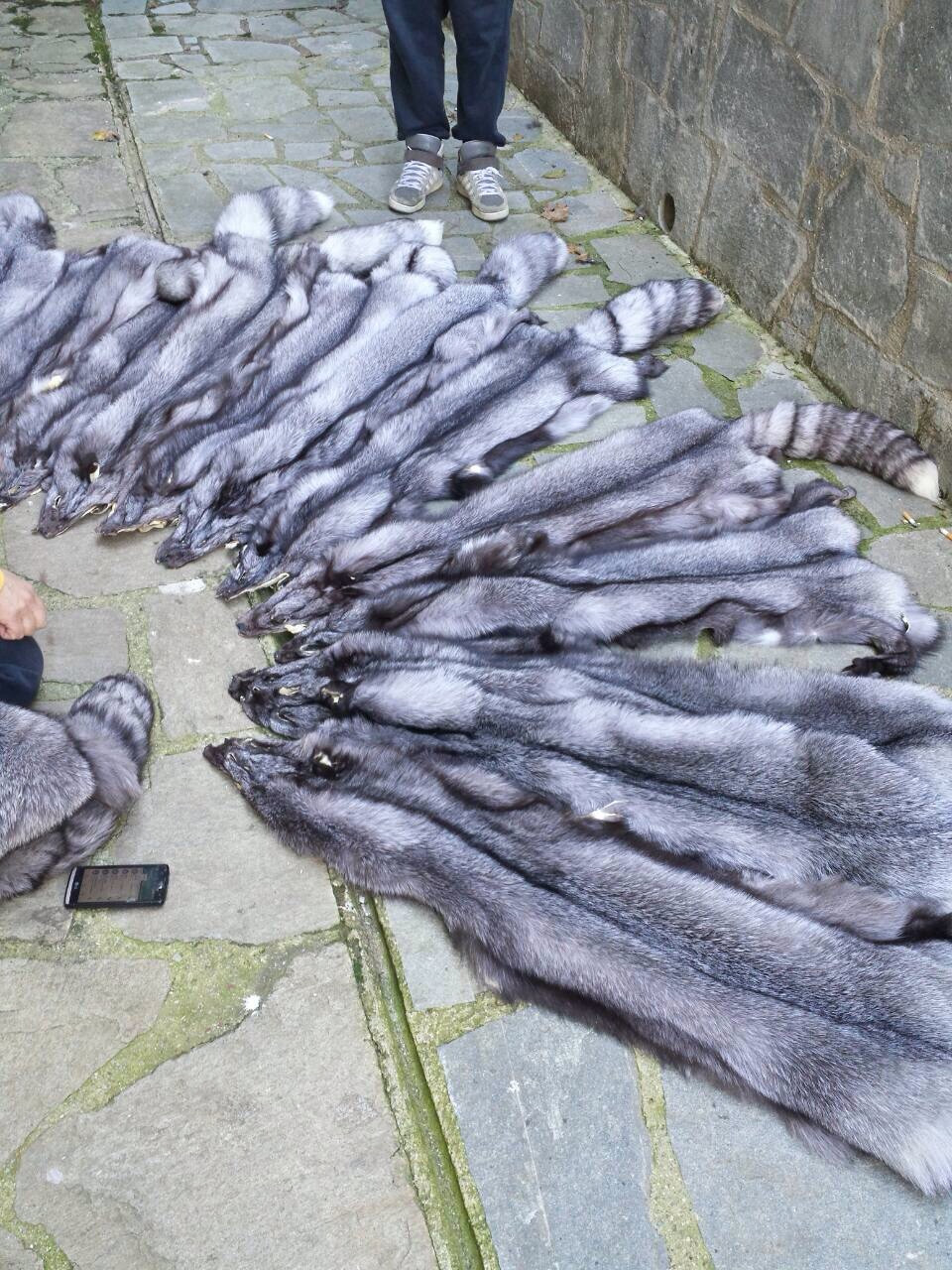 Fox fur pelts | SKANDINAVIK FUR