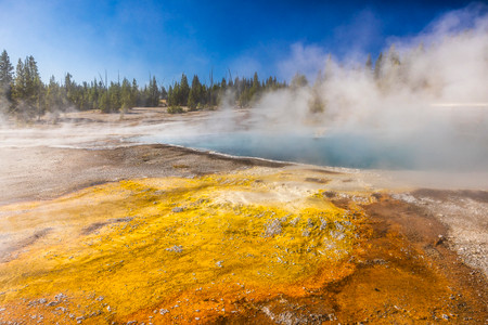 Gold on Blue, Yellowstone National Park by Ruby Hour Photo Art ...