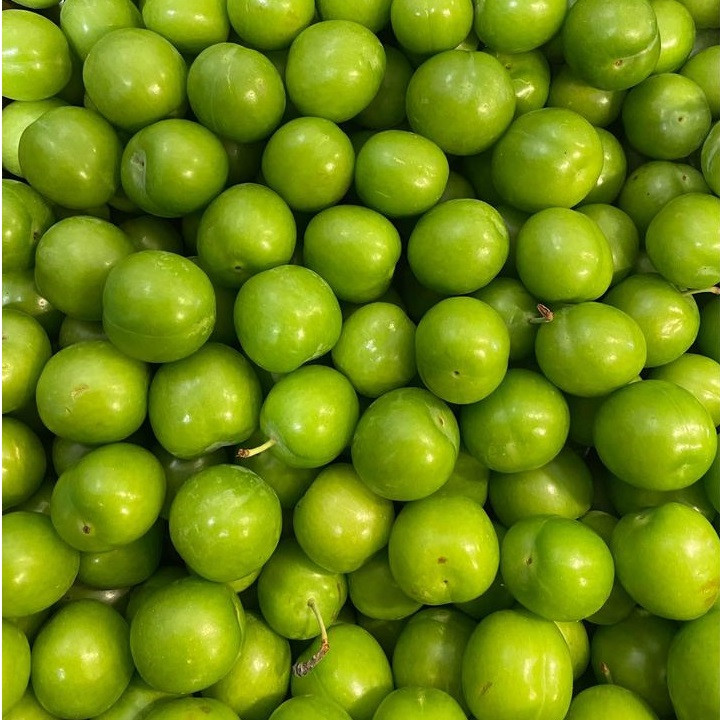 Turkish Green Sour Plum - Janerik - 1lb | DIZIN