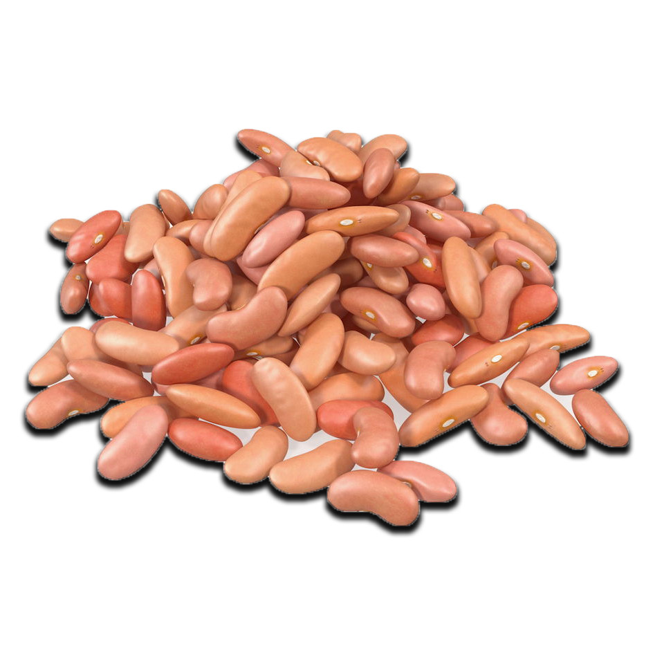 Light Red Kidney Beans 680 gr - DIZIN Online Store