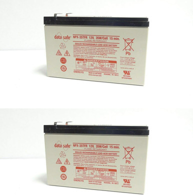 Enersys NPX-35TFR Battery 2 Pack | thebattery.com