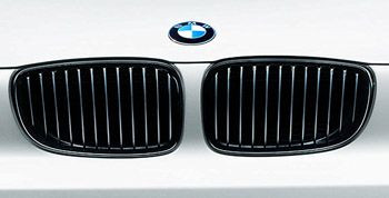 BMW Performance High-Gloss Black Kidney Grilles for 2008-13 BMW 1 ...