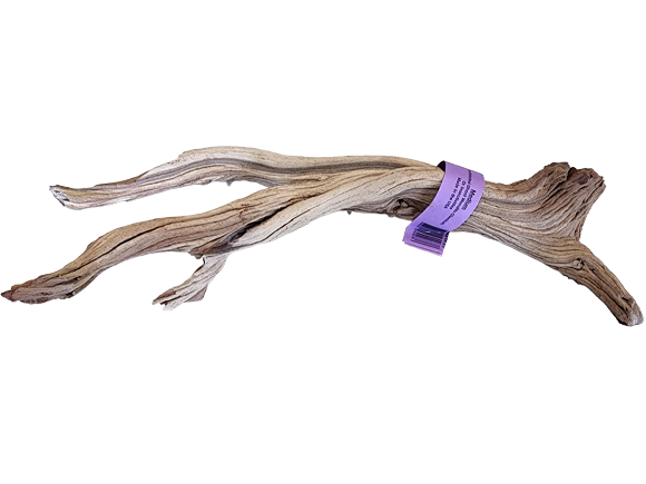 Ghost Wood Medium 18" - The Tye-Dyed Iguana - Reptiles and Reptile ...