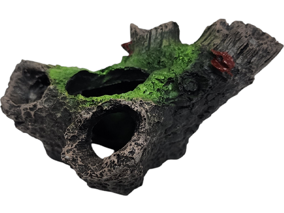 Mini Stump - Tye-Dyed Iguana - The Tye-Dyed Iguana - Reptiles and ...