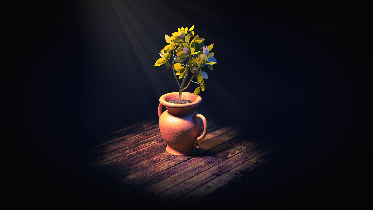 Use Reflective Surfaces to Maximize Plant Lighting - The Tye-Dyed ...