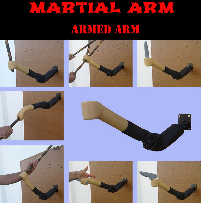 SPRING ARMS DUMMY - Page 1 - ronin777