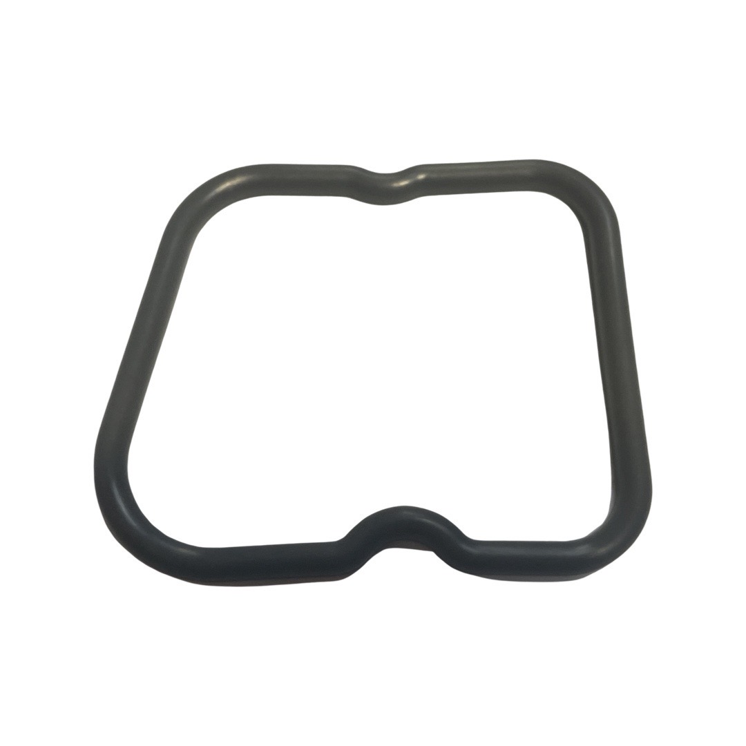 Chambers gasket store