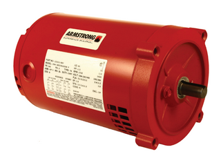 174031MF-043 Armstrong S-25 AB Bronze Pump | National Pump Supply