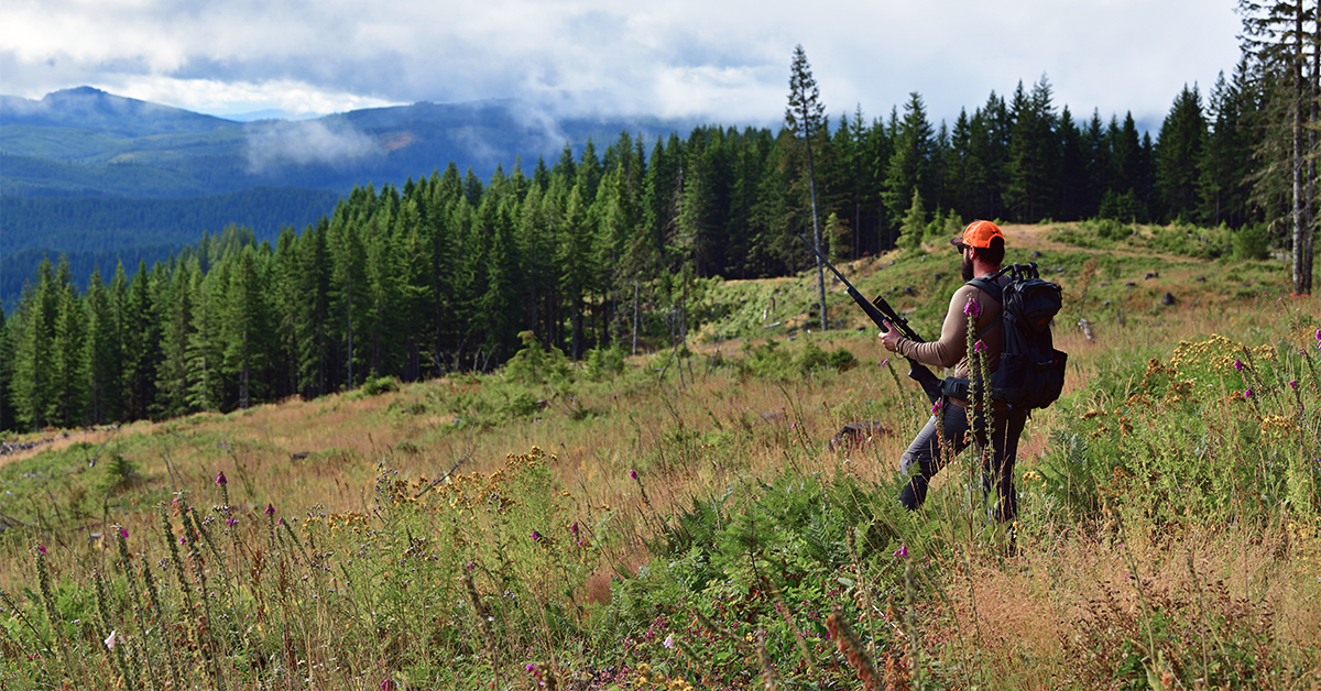 Spring hunting opportunities - Warne Scope Mounts