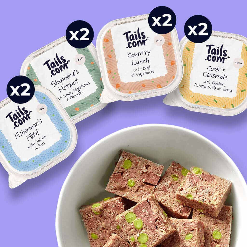 Shop Dog Treats, Wet Food, Chews and More | tails.com
