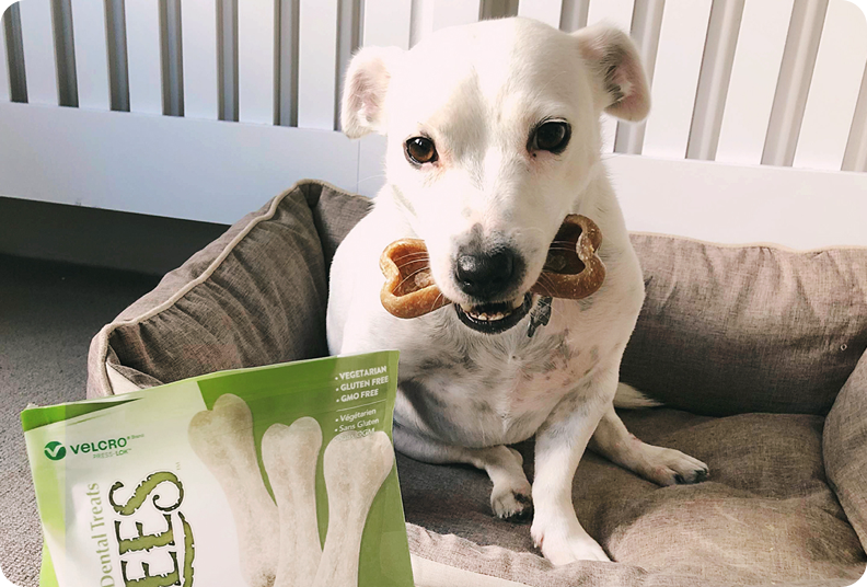 Shop Dog Treats, Wet Food, Chews and More | tails.com