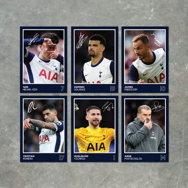 Tottenham Hotspur Players SIGNED A6 Poster Pack 2 - 6 Autographed ...
