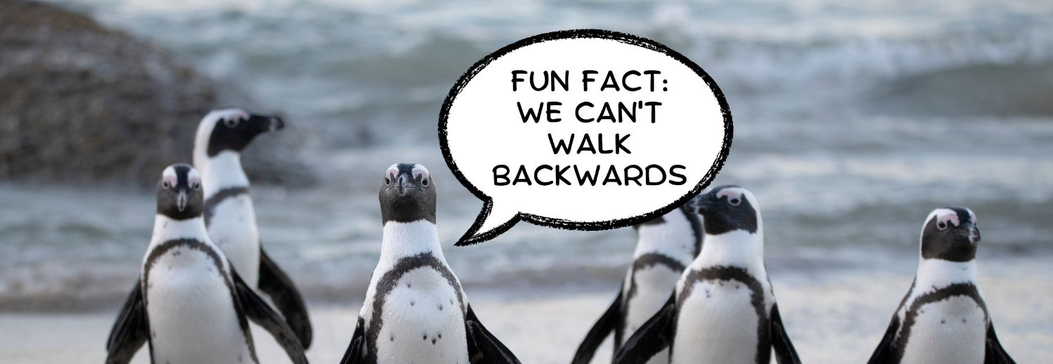 Backwards Day [January 31st] - Punky Jane Jewelry