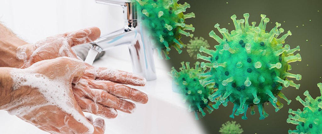 Antibacterial vs Regular Hand Soap - Bunzl Processor Division