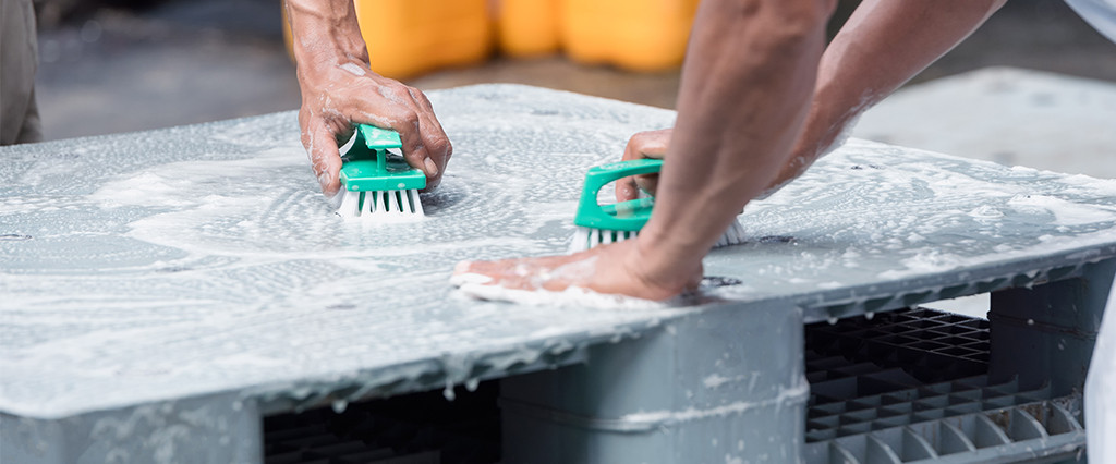 Benefits of Plastic Pallets for Food Applications - Bunzl Processor ...