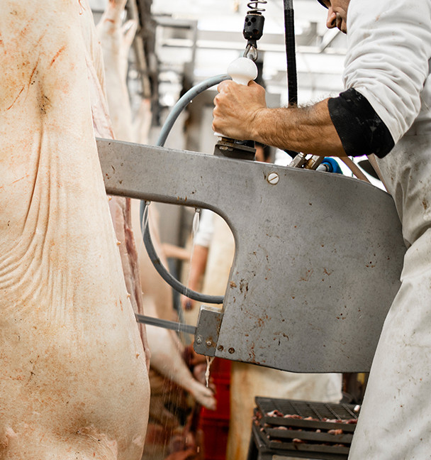 Meat Processing - Page 1 - Bunzl Processor Division