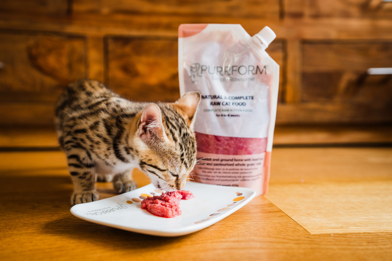 Weaning Paste - Farmed Rabbit - Purrform Ltd