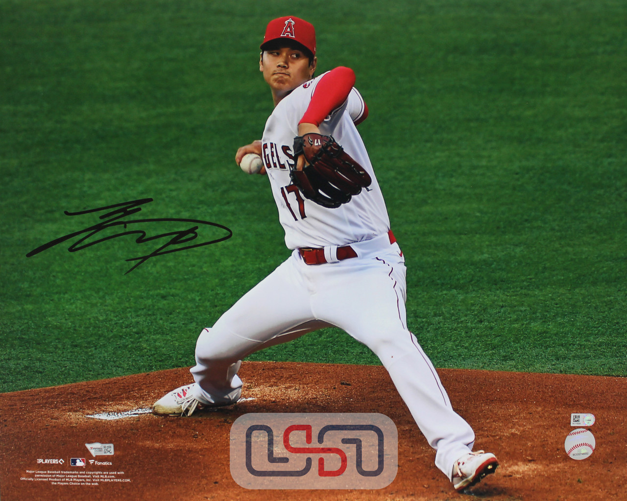 Shohei Ohtani Angels Signed Autographed 16x20 Photograph Photo MLB Auth ...