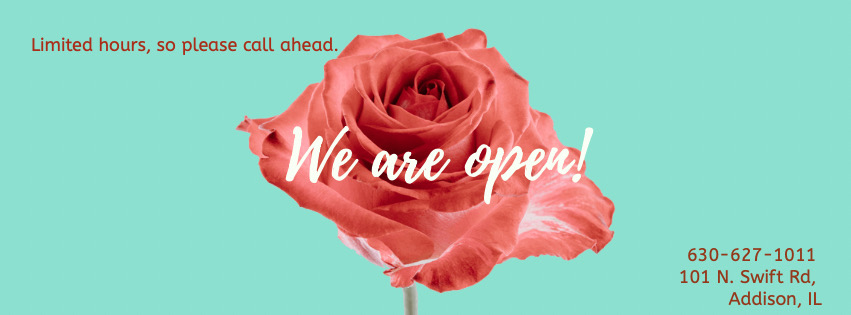 Faux Design Studio | Paint and Design Store