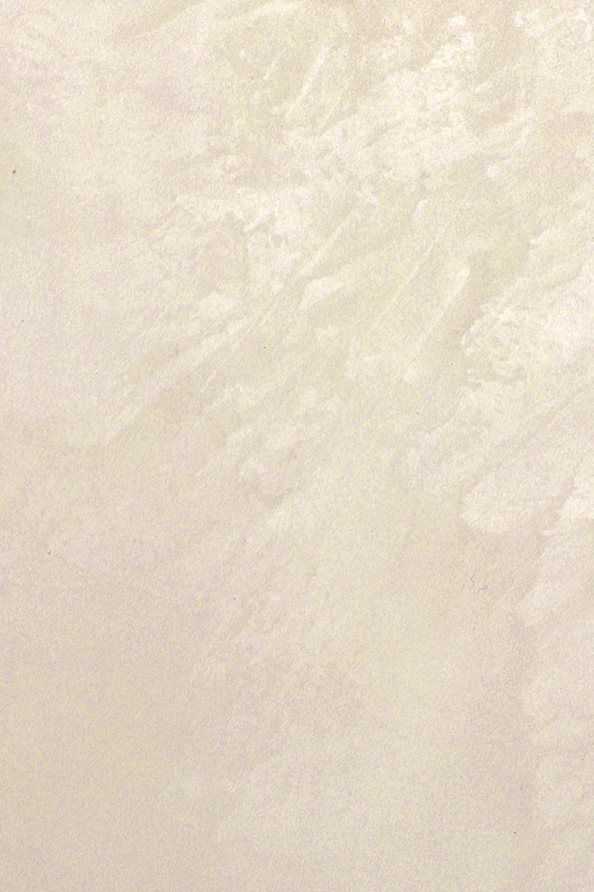 LusterStone Queen Anns Lace Gallon - Paint and Design Store