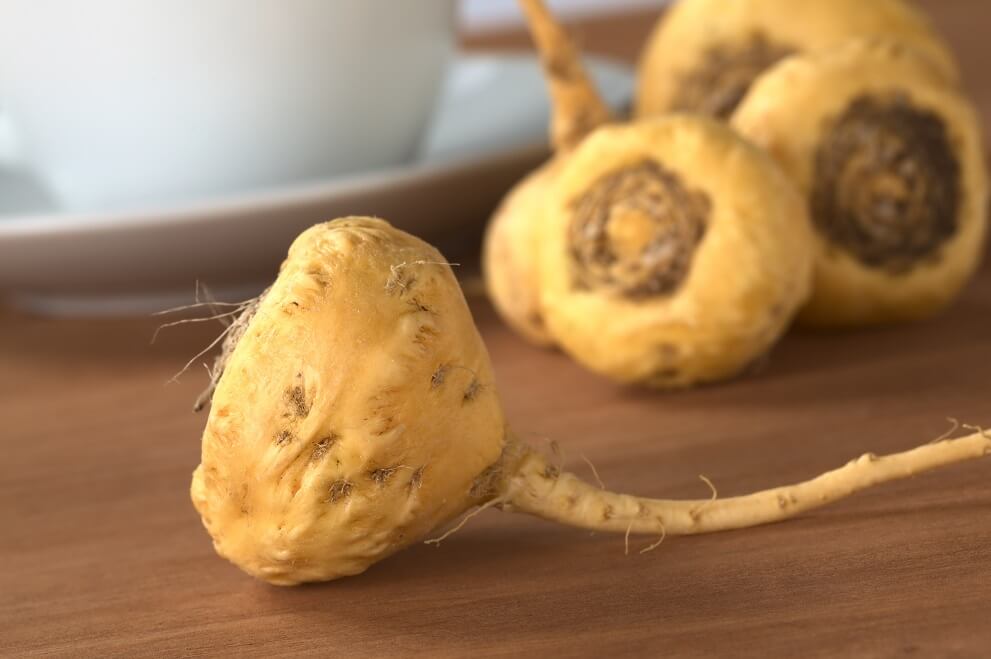 Maca Root - the best hormonal acne treatment - Wilder North Botanicals
