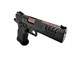 Hayes Custom Guns