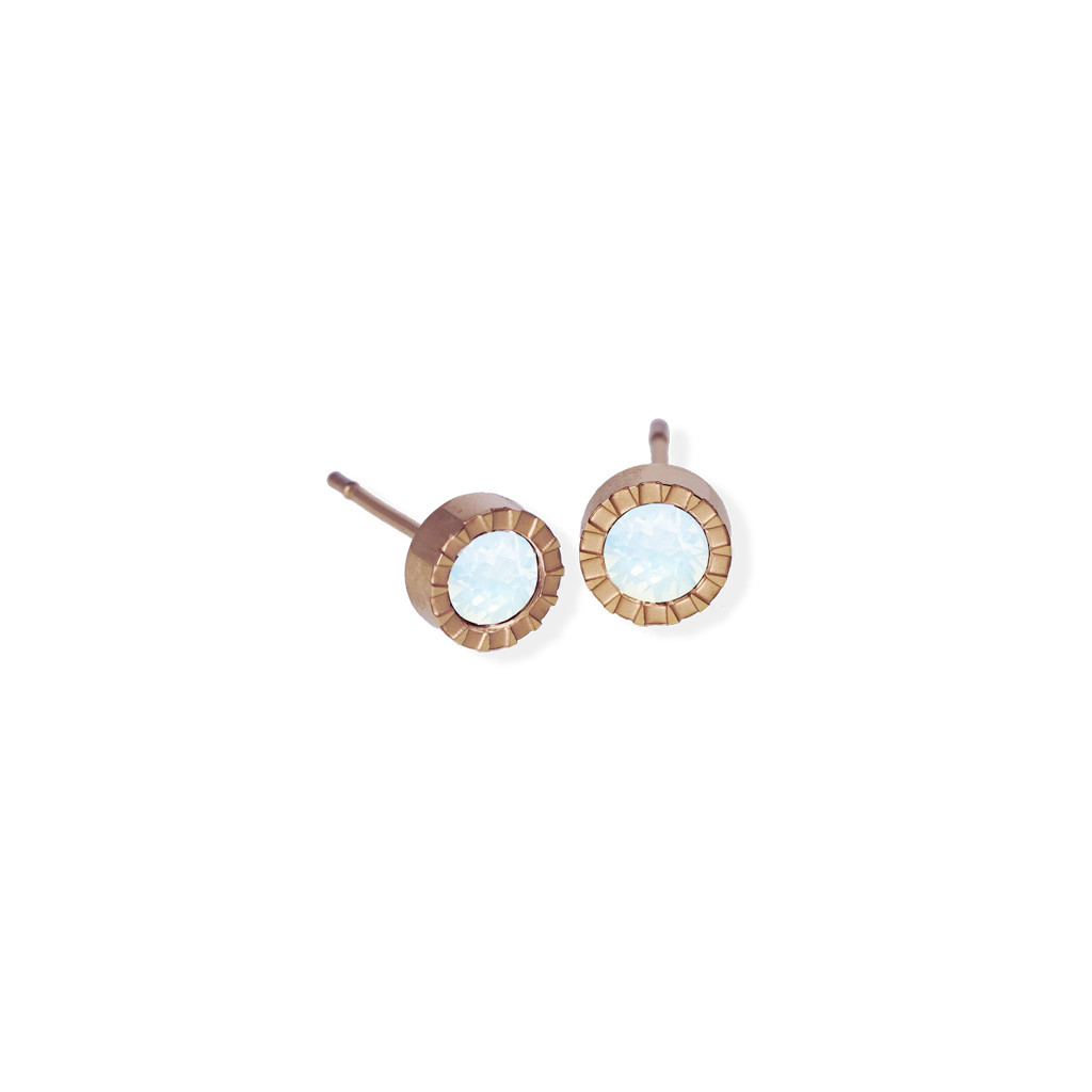 Circle Textured Earring in Rose Gold - FAB Accessories Inc.