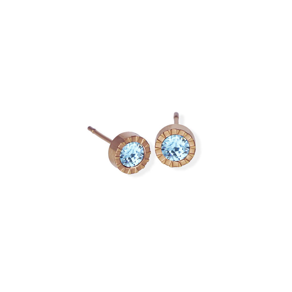 Circle Textured Earring in Rose Gold - FAB Accessories Inc.