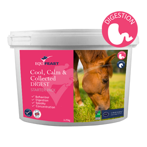EquiFeast | Horse supplements | Horse calmers