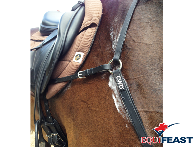 Feeding Electrolytes - a simple overview - EquiFeast | Horse feeds ...