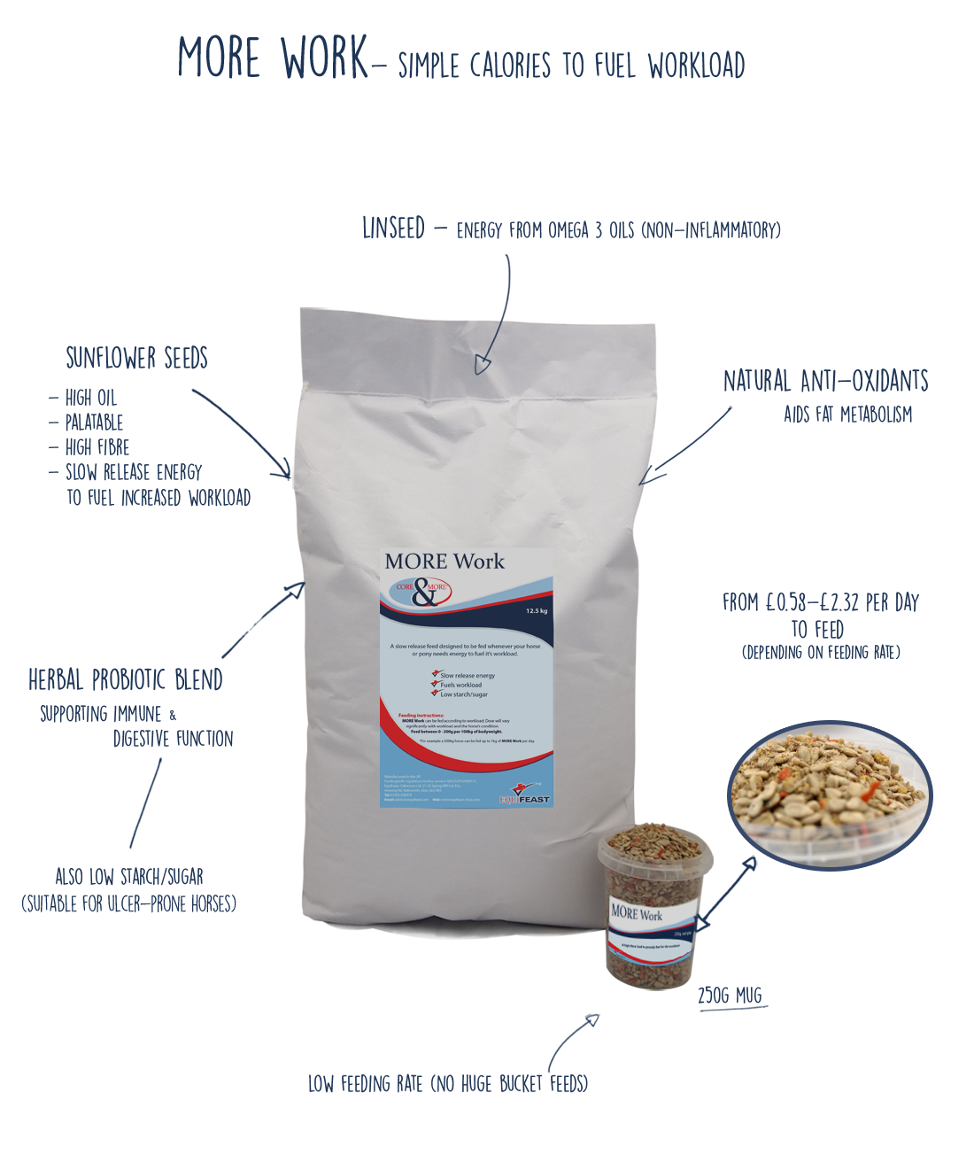 In the spotlight: MORE Work - EquiFeast | Horse feeds & supplements