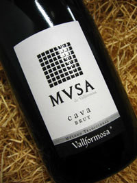 Vallformosa 'MVSA' Brut Cava - Melbourne Wine House
