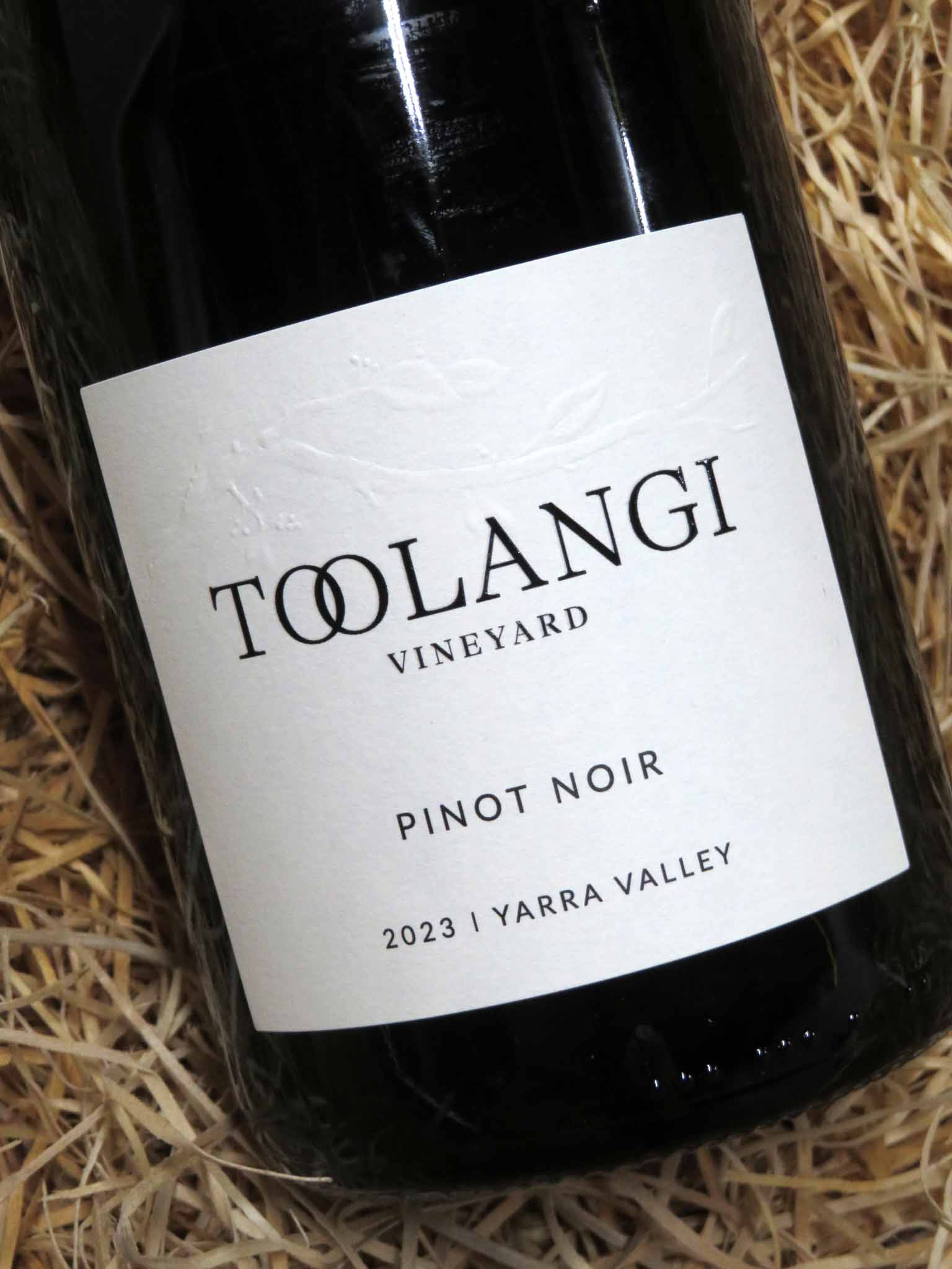 Toolangi Pinot Noir 2023 - Melbourne Wine House