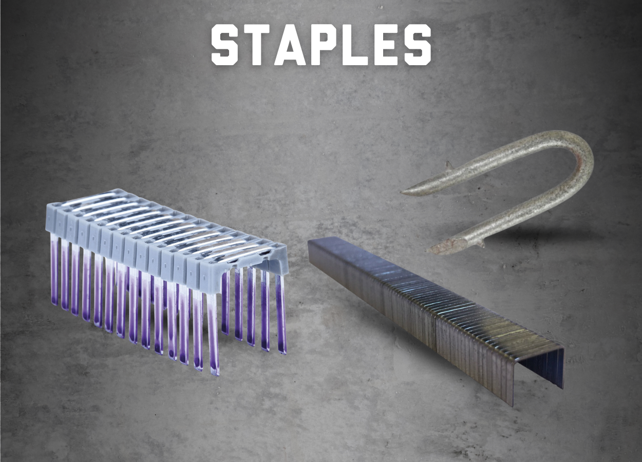 Fasteners - Nails & Staples - Staples - Tradie Republic