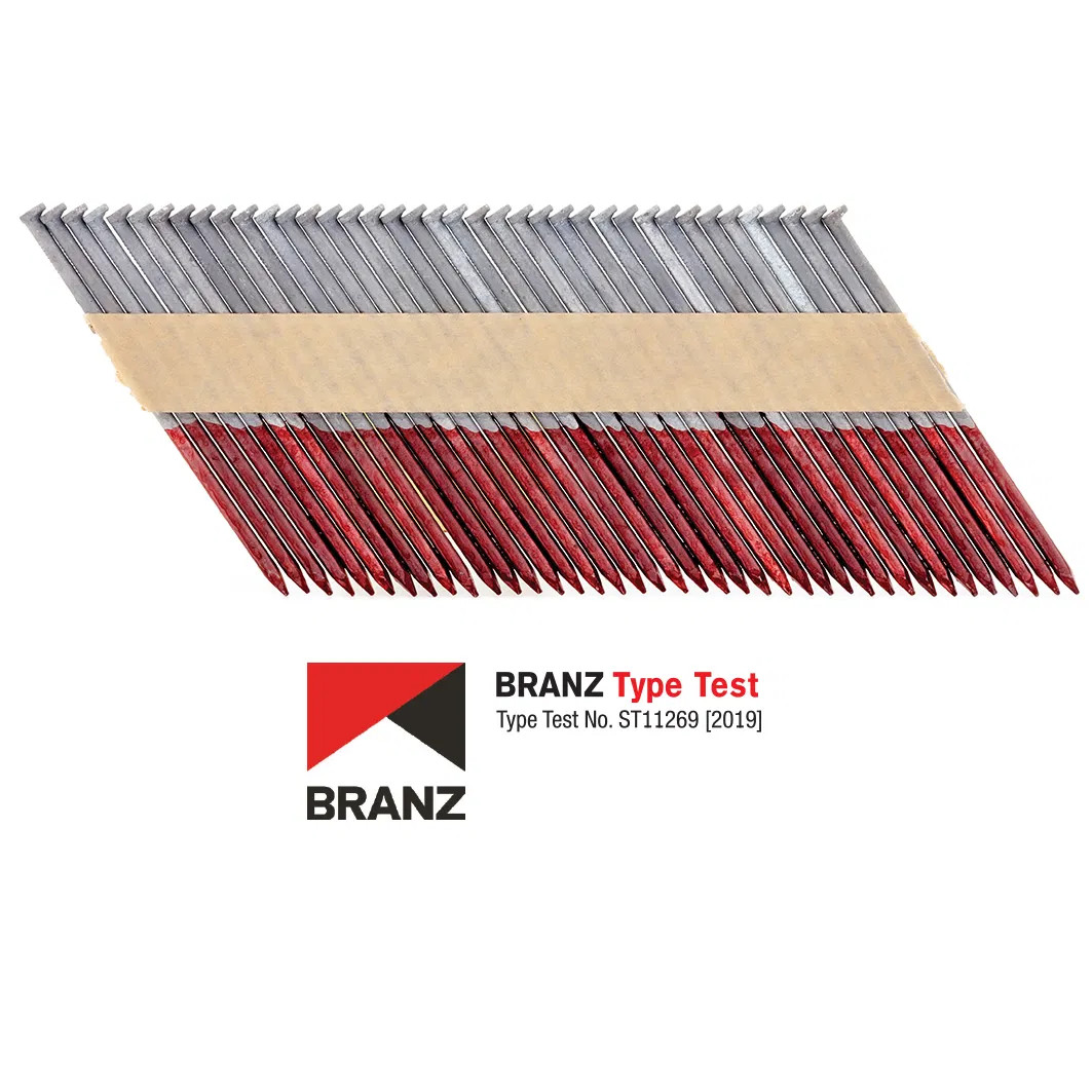 Force Galv D-Head Strip Nails 50mm X 2.87mm Qty3000 - Tradie Republic